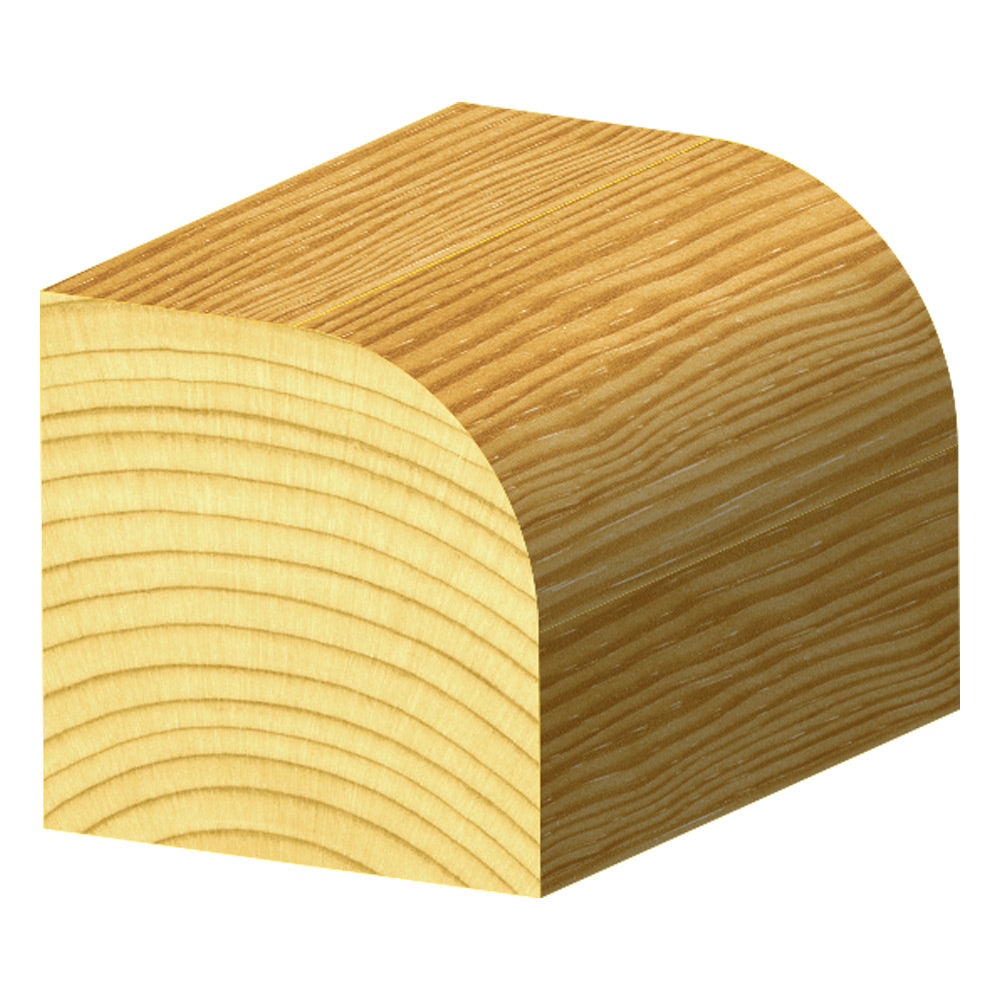 Carbitool 2 Flute – Rounding Over Bit with Bearing